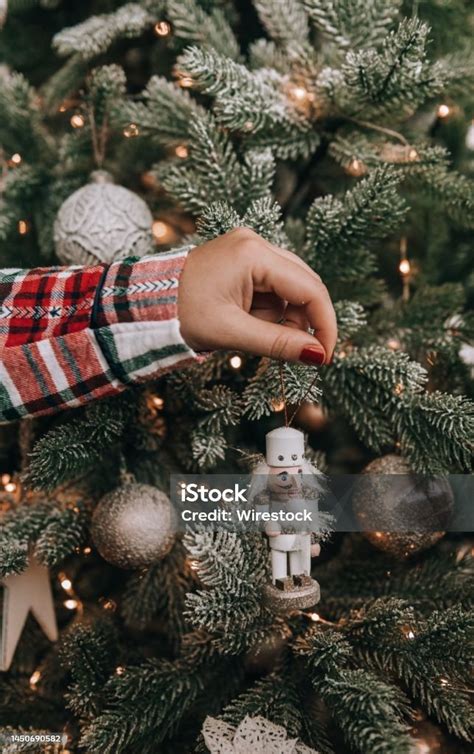 크리스마스 트리에 호두 까기 인형 군인 장식을 매달아 여성 손 12월에 대한 스톡 사진 및 기타 이미지 12월 사진 이미지
