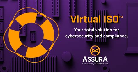 Fractional Ciso Services Assura Inc