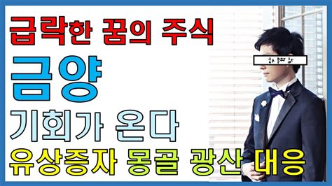 241001화 금양 주식 투자 유상증자 대응 몽골 광산 실적 정정 금양 주식전망 금양 주가전망 금양 유상증자 금양 실적 금양 차트 코스피 코스닥 2