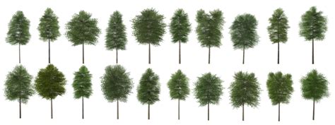New Sketchup 3d Trees V1 Sketchucation