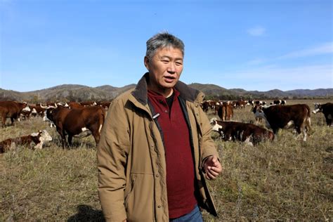 Газар тариалангийнхаа суурин дээр эрчимжсэн үхрийн аж ахуй бий болгожээ