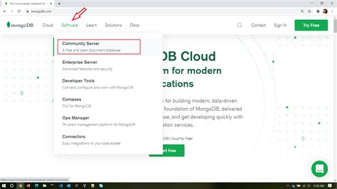 How To Install Mongodb On Windows 10 Devzigma