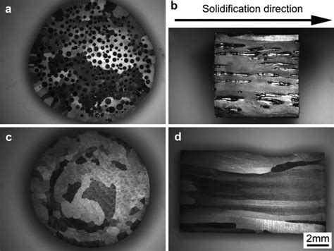 Optical Micrographs Of Microstructure In A B Lotus Type Porous And Download Scientific