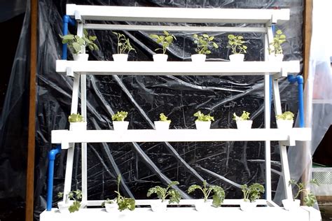 Second Batch Object Detection Dataset By Plantelligent