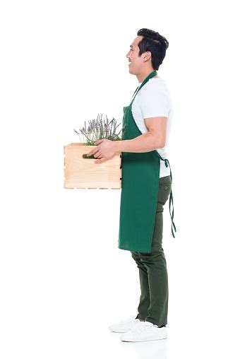 식물을 가진 상자를 들고 하는 녹색 앞치마를 입고 잘생긴 한국 남자 20 29세에 대한 스톡 사진 및 기타 이미지 20 29세 25 29세 T 셔츠 Istock