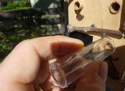 Monitoring Solitary Bees Using Open Technology Arduino Blog