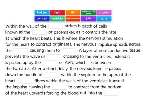Cardiac Cycle Transmission Of Impulse Missing Words Lengkapi Kalimatnya