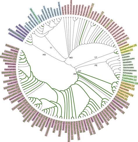distribution of reference genomes across the land plants tree‐of‐life