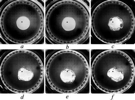 Photographs Of The Interface Shape For The Liquids Pair 2 At Q 013