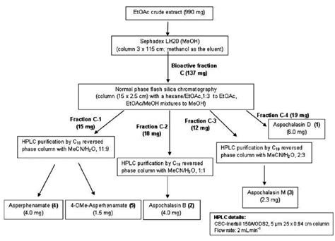 Schematic Diagram For The Compounds Isolation Protocol Download Scientific Diagram