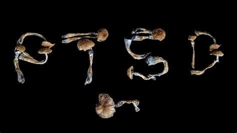 Psilocybin And Ptsd Heres What We Know