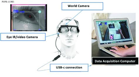 Pupil Lab Eye Tracker Setting Download Scientific Diagram