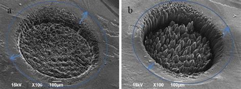 Sem Micrographs Of The Sample Irradiated At The Laser Fluence Of