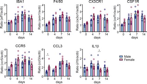Glia Neurobiology Journal Wiley Online Library