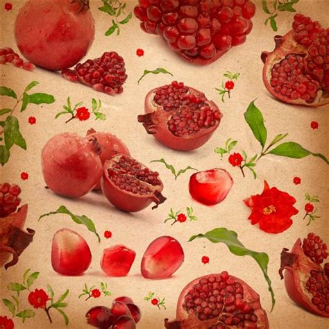 مجموعه ای از میوه های انار قرمز با برگ ها و گل های سبز در زمینه کاغذ