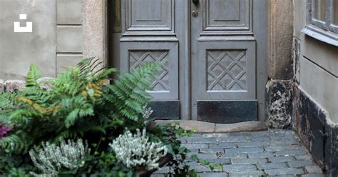 회색 나무 문 옆에 녹색 식물 사진 Unsplash의 무료 스웨덴 이미지