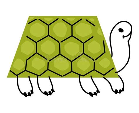 Cartoon Turtle Animal Character With Math Shape Stock Vector Illustration Of Character