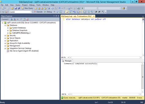 phonespin bringing mirrored no witness sql database online after