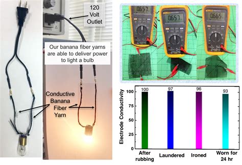 Andrew Lab Umass Amherst