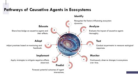 Pathways Of Causative Agents In Ecosystems Ppt Powerpoint St Ai Ss Ppt Template
