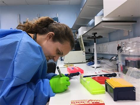 Sequencing And Bioinformatics Notes From A Small Scientist