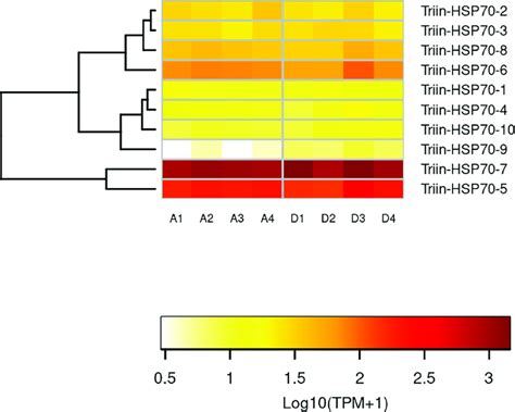 Effect Of Deltamethrin On The Transcription Of The T Infestans Hsp70