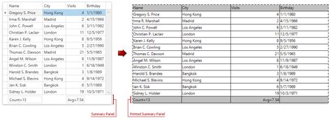 Dataviewbase Printtotalsummary Property Wpf Controls Devexpress Documentation