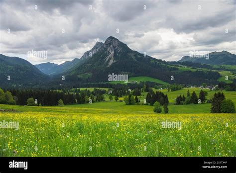 Summer Austrian Landscape With Green Meadows And Impressive Mountains