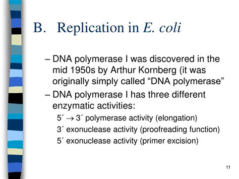 PPT DNA Replication PowerPoint Presentation Free Download ID 1848912