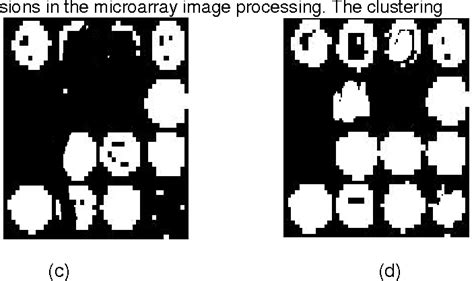 figure 3 from comparison of clustering techniques for microarray image segmentation semantic