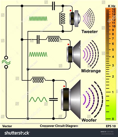 Speaker Crossovers Circuit Diagram Stock Vector 123517021 Shutterstock