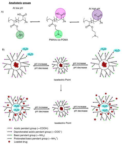 Ph Responsive Polyurethane For Biomedical And Drug Delivery