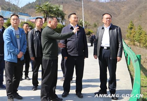王彪在调研国有林场森林资源及森林康养工作时强调立足资源禀赋 推动产业融合 加快森林康养产业发展 安康市人民政府