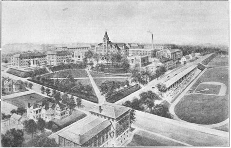 Addis Ababa University