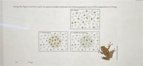 Solved Using The Figure And The Mark Recapture Model