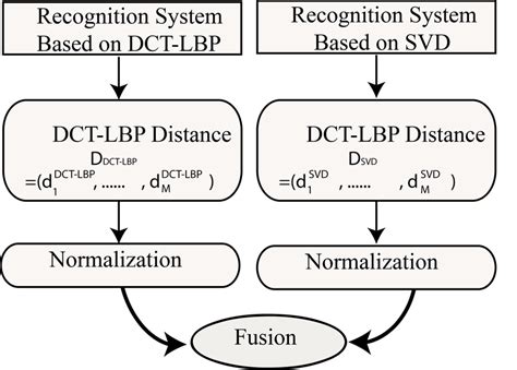Diagram Of The Proposed Fusion Download Scientific Diagram