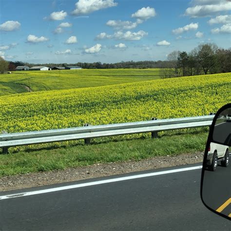 Celso Hernandez Lopez Youtube