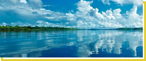 Demerara River Experienceguyana