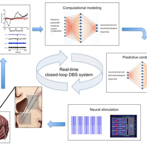 Real Time Closed Loop Deep Brain Stimulation System Clockwise From Download Scientific