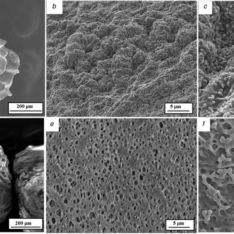 Visual Aspect Gross Appearance Of Alginate Microspheres A Single Download Scientific