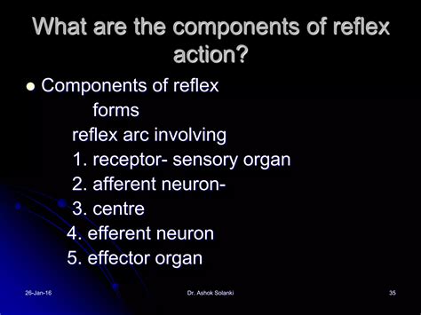 Reflexes Clasifications And Functions Pptx