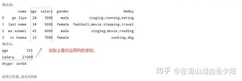Python之pandas的常用技能【修改数据】 知乎 Python之pandas的常用技能【修改数据】 知乎