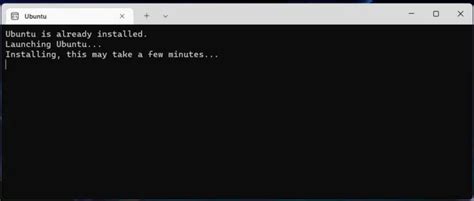 วิธีเปิดใช้งาน Wsl2 Windows Subsystem For Linux Version 2 บน Windows 11 Home Cs Developers