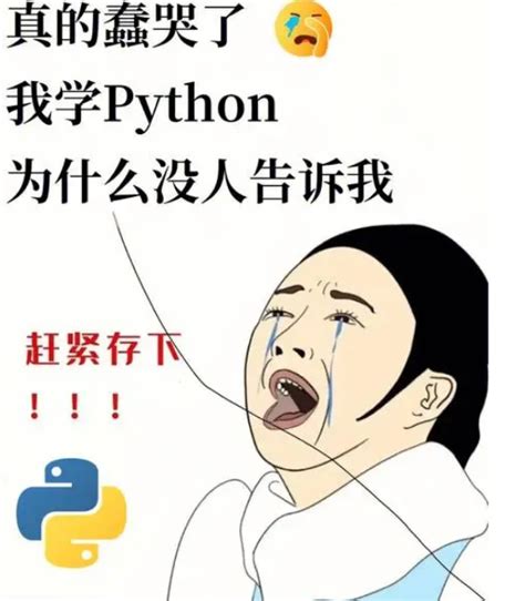 【学习编程】献给迷茫中的你，教你如何快速入门编程，如何从编程小百到 It 巨佬？零基础自学请收下这份学习指南（经验分享）如何学习编程 Csdn博客