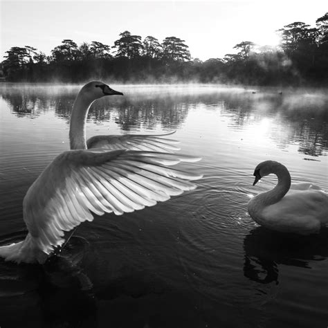 Wildlife World Fine Art Photography By Michael Kleiser