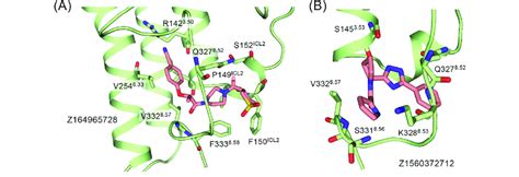 The Two Possible Ligand Binding Modes For P6 A The Docked Pose For Download Scientific