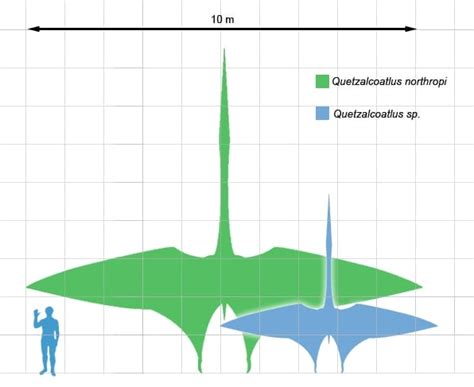 Fun Facts About Quetzalcoatlus Dinosaur Facts