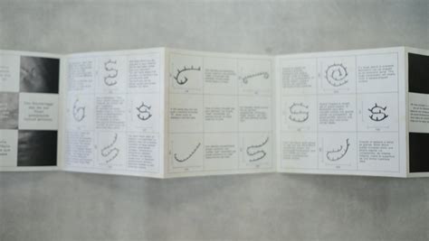 Kartell カルテル Bookworm 17 ブックワーム ブルー Ron Arad ロン・アラッド Helvetica