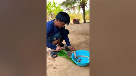 ម្ហូបពិសេស Youtube