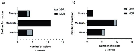 Correlation Between Biofilm Formation And Resistance Profiles Of Download Scientific Diagram